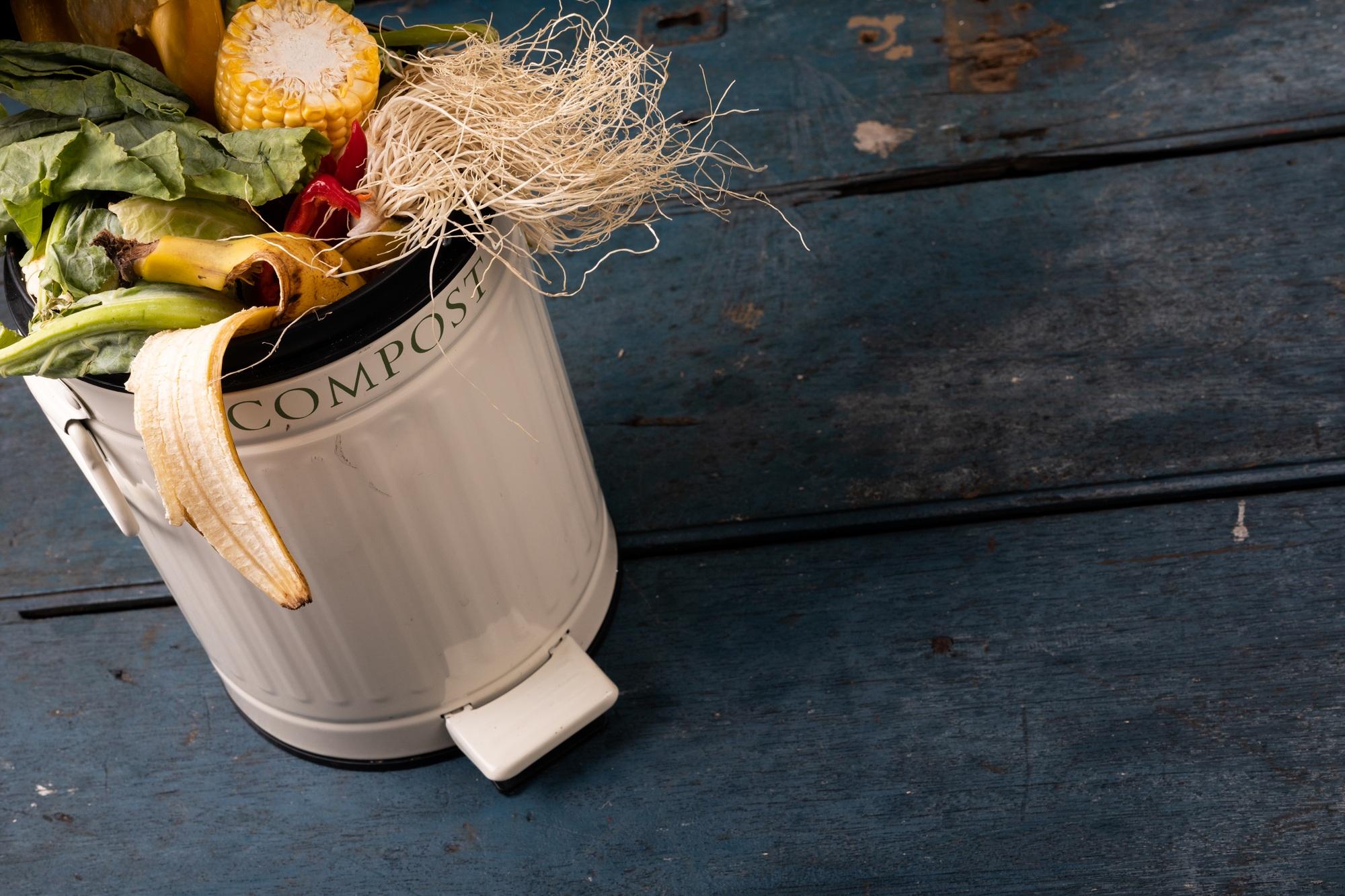De l’épluchure au terreau : tout comprendre au processus du compost ...